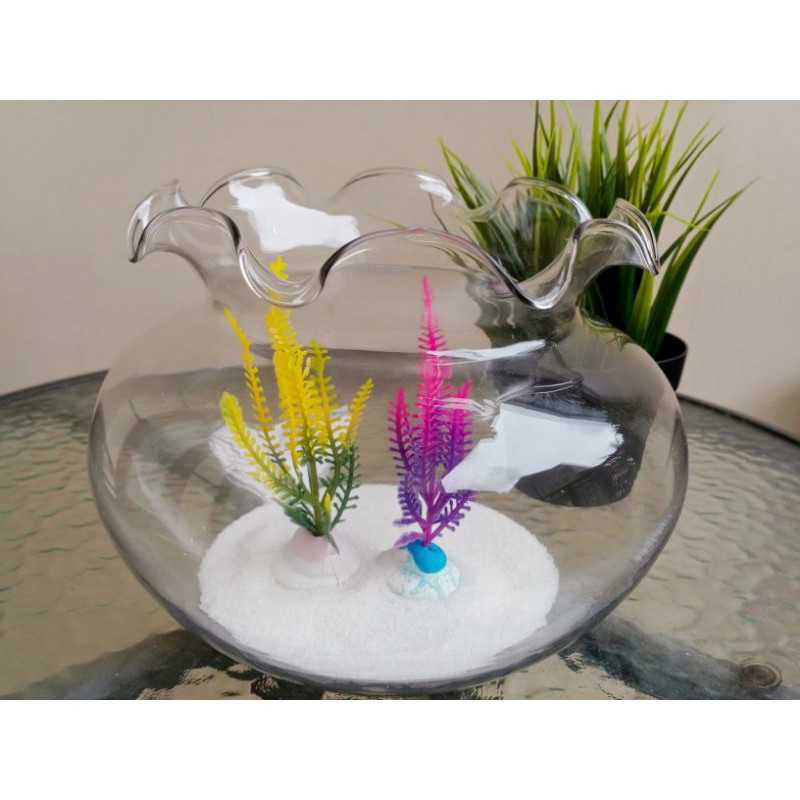 Jual AQUARIUM BULAT UKURAN 3.5L READY | Shopee Indonesia