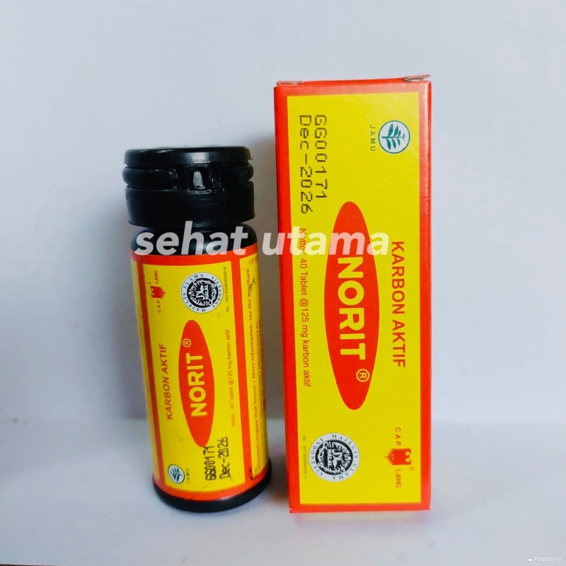 Jual NORIT KARBON AKTIF CAP LANG - Membantu mengurangi frekuensi buang ...