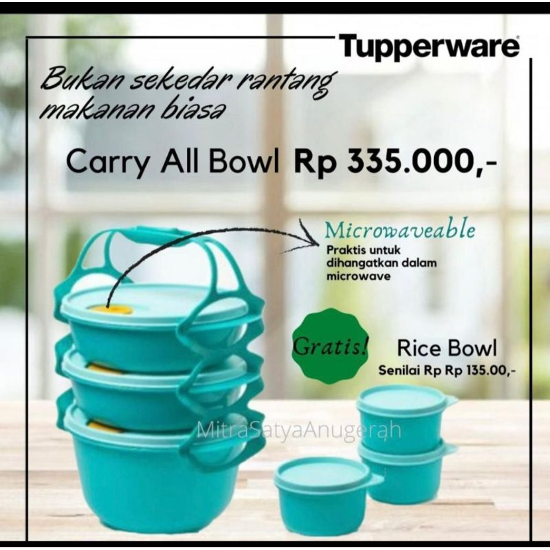 Jual Rantang Carry all bowl set free rice bowl TUPPERWARE | Shopee ...