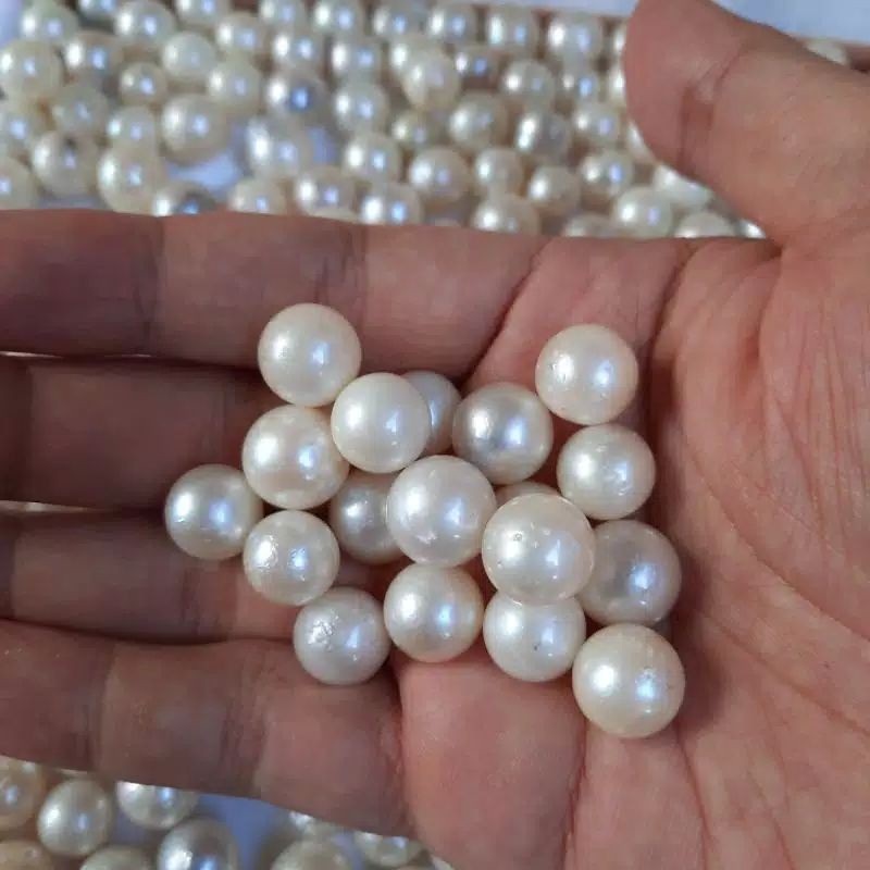 Jual butiran mutiara laut asli lombok | Shopee Indonesia