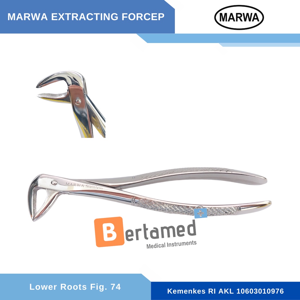 Jual MARWA Tooth Extracting Forcep For Adult - Tang Cabut Gigi Dewasa ...