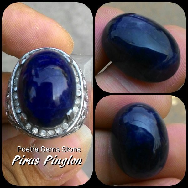 Jual PIRUS PINGLON TURKI HARGA BERSAHABAT !!! | Shopee Indonesia