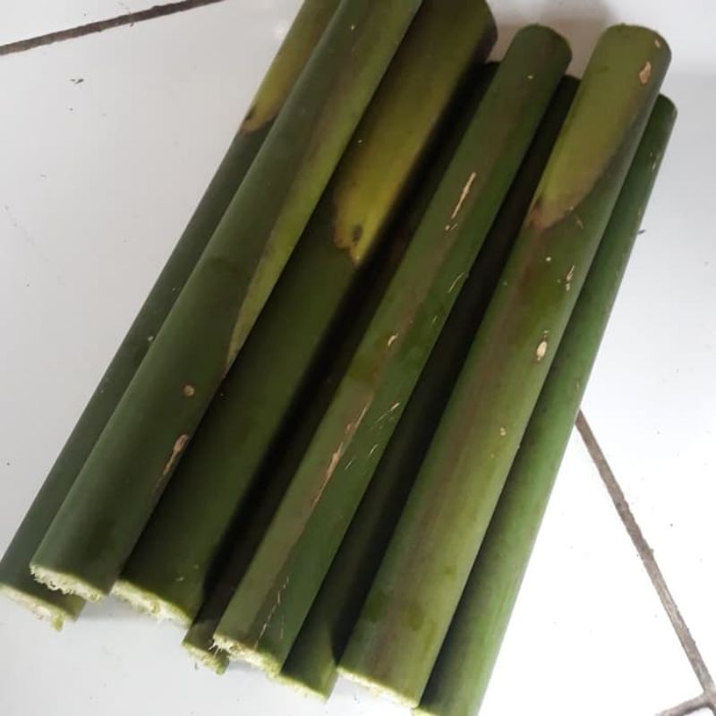 Jual Batang pohon kecombrang / hoe segar 1 kg | Shopee Indonesia