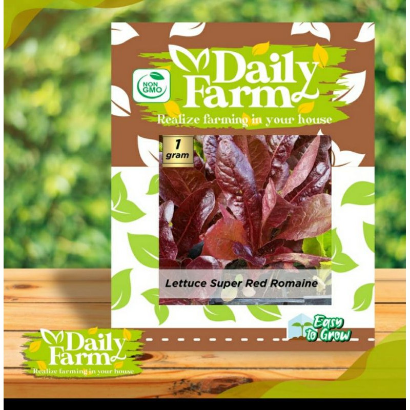 Jual Benih Selada - Lettuce Super Red Romaine - Daily Farm | Shopee Indonesia
