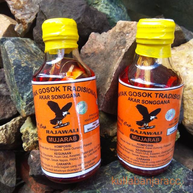 Jual Minyak akar songgana obat urut ampuh ukuran sedang | Shopee Indonesia