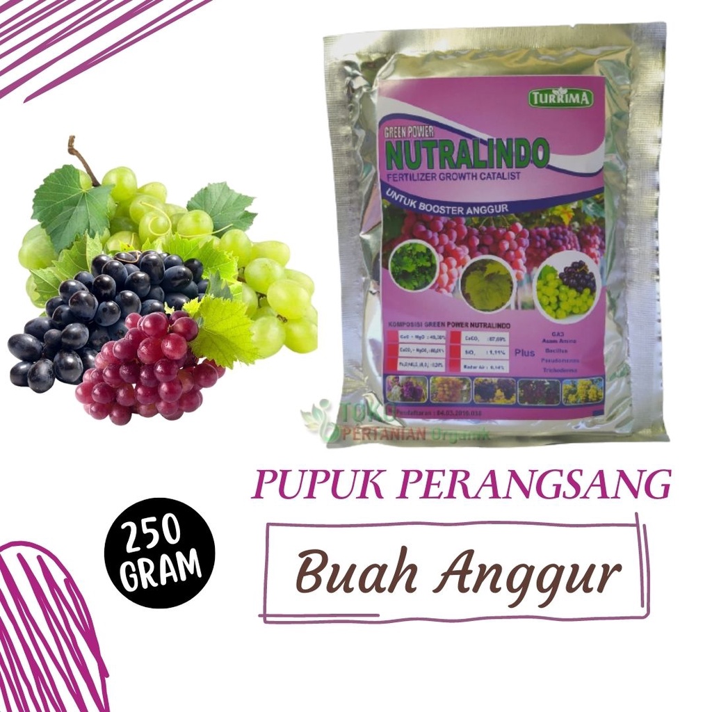 Jual Pupuk Pemicu Organik anggur setelah pruning, pemupukan anggur ...