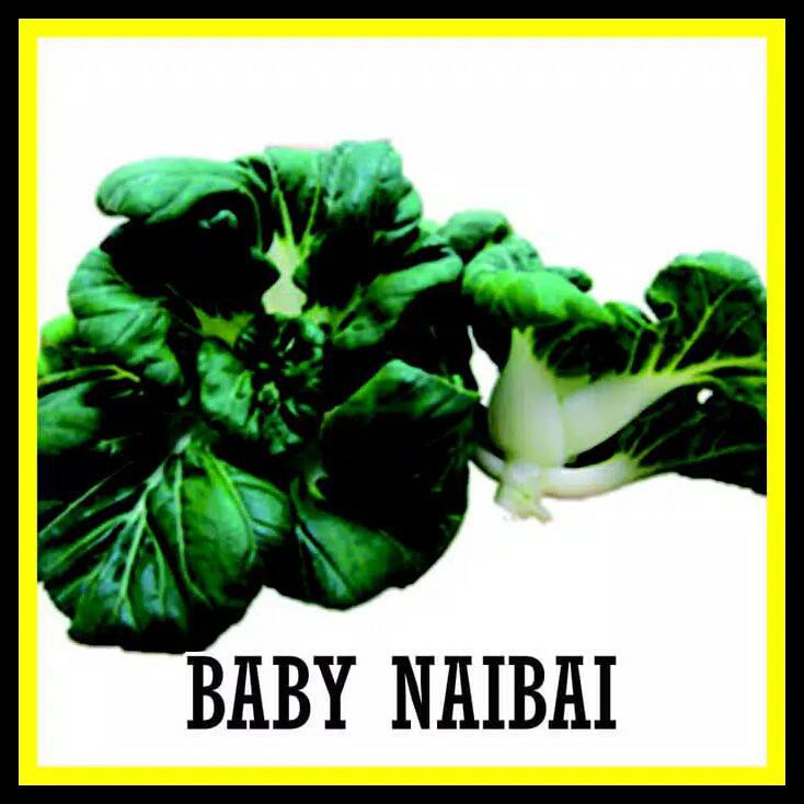 Jual Benih Biji Baby Naibai Sawi Batang Putih Hidroponik | Shopee Indonesia