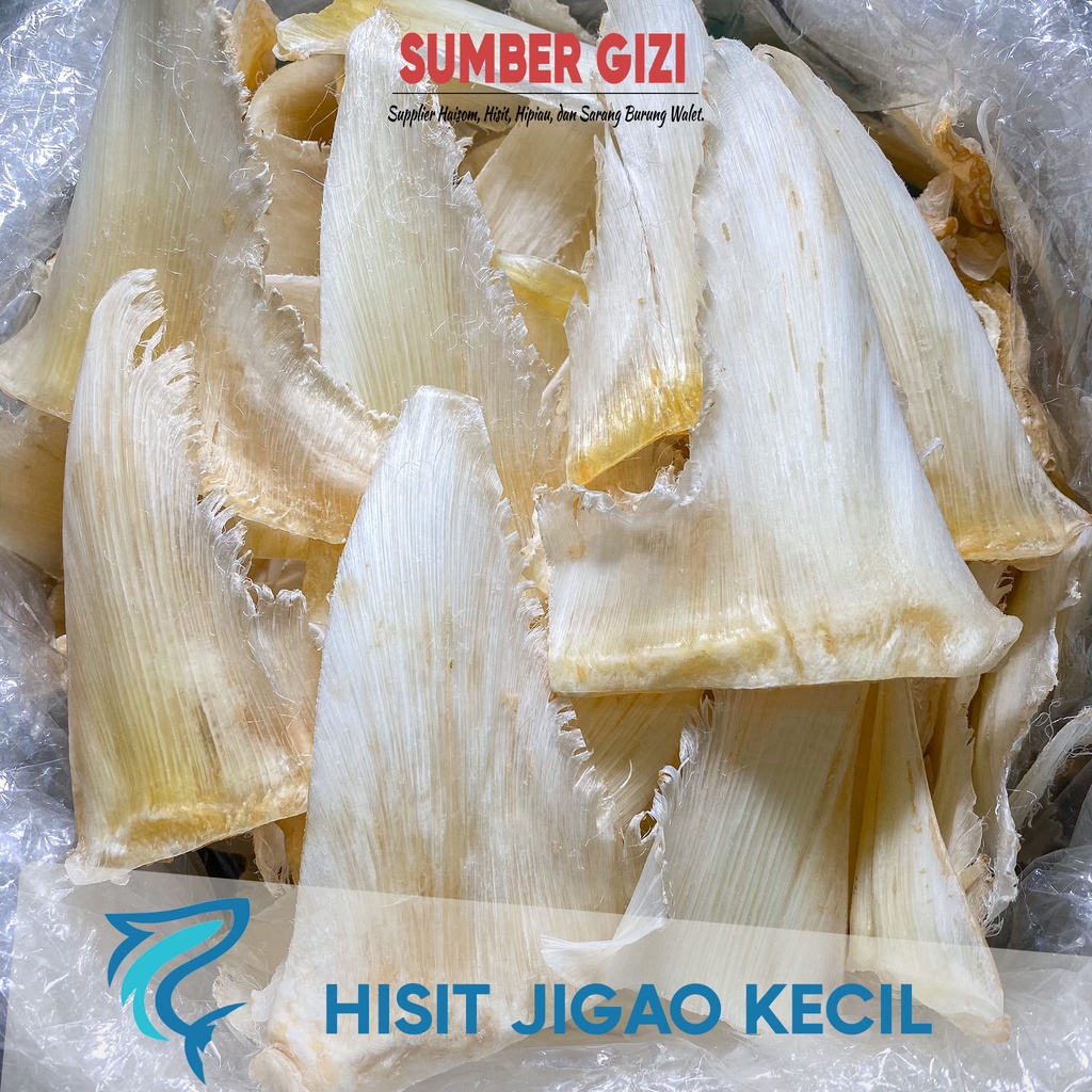 Jual HISIT KERING SIRIP IKAN HIU JIGAO KECIL HUCHI HU CHI HECHI SIRIP ...