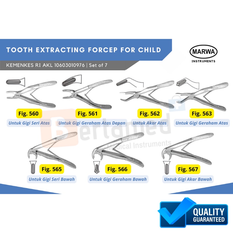 Jual Tooth Extracting Forcep For Child Set of 7 / Tang Cabut Gigi Anak ...