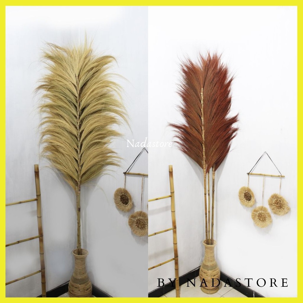 Jual (Bundling isi 2 ) Rayung Stick / Bunga Kering / Dried flower ...