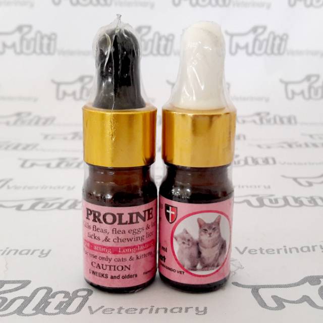 Jual PROLINE Plus Cat 2,5ml - Membasmi Kutu Kucing Flea Tick | Shopee ...