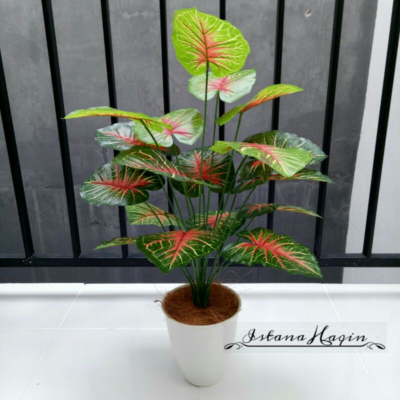 Jual Tanaman Keladi Artificial plus pot | Shopee Indonesia