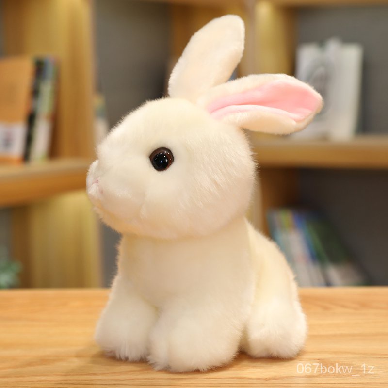 Jual Emulational Rabbit Plush Toy Korean Cute Bunny Doll Little White ...