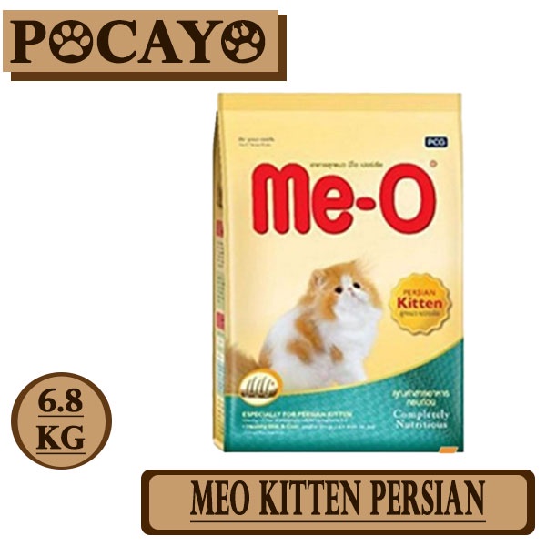 Jual Meo Kitten Persian 6.8k (Ekspedisi) | Shopee Indonesia