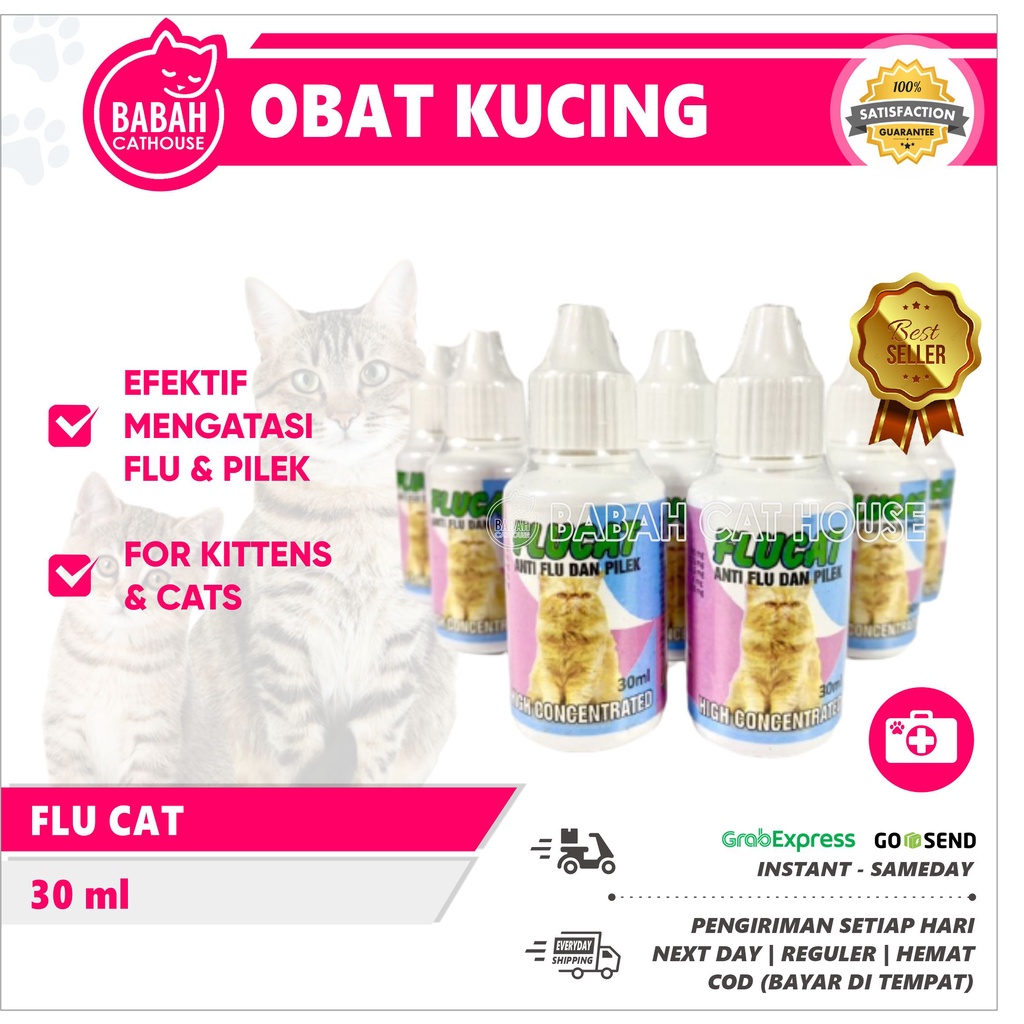 Jual FLU CAT Obat Anti Flu dan Batuk Bersin Pilek Kucing Kitten Anak ...