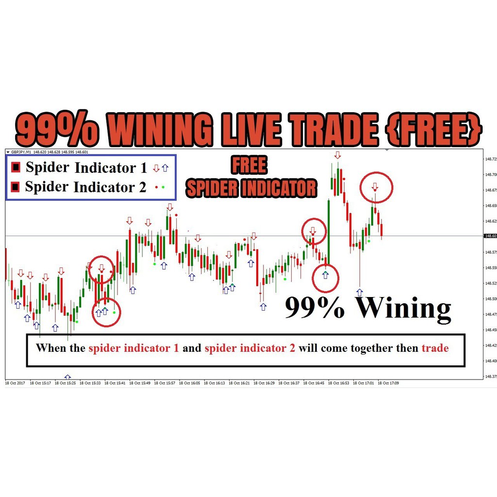 Jual Spider Strategy Trading Binary | Shopee Indonesia