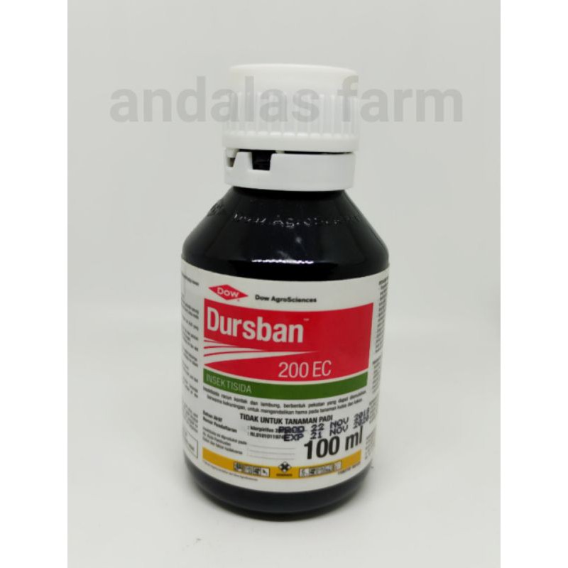 Jual Insektisida Dursban 200 EC @100ml | Shopee Indonesia