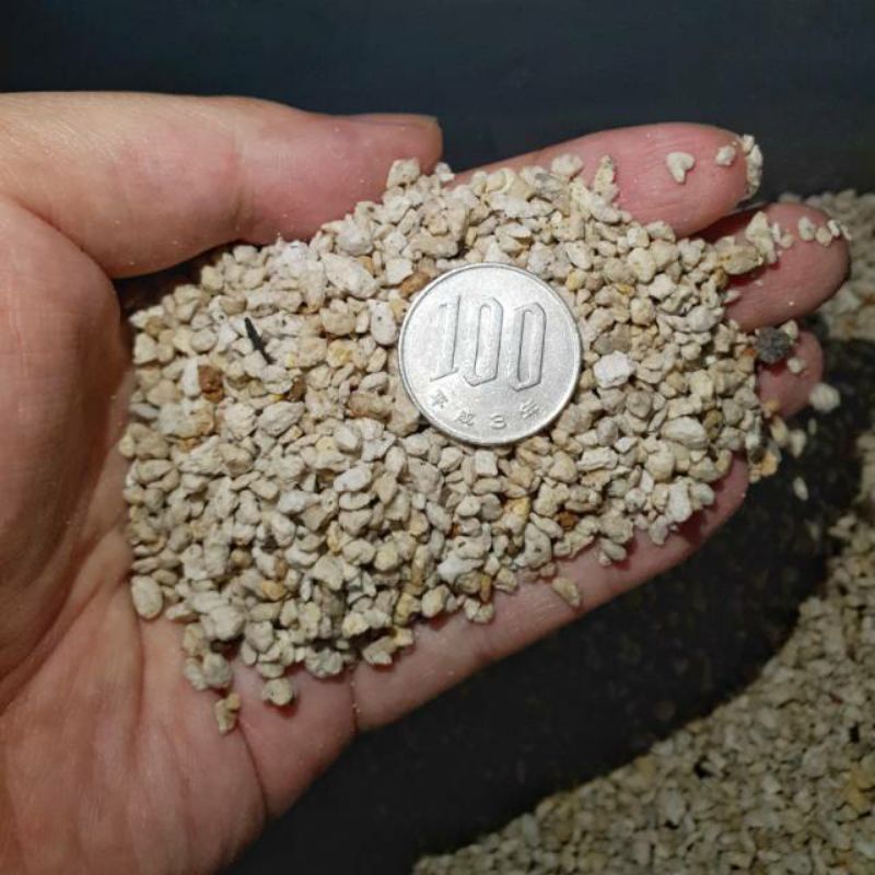 Jual Batu Apung Pumice Stone Kecil Media Filter Akuarium 500 gram ...