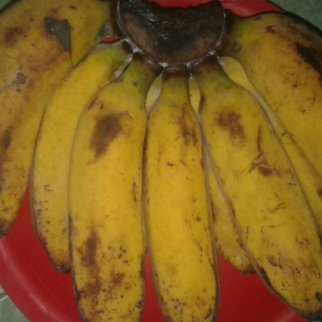 Jual Pisang raja bulu asli sukabumi 1 kg | Shopee Indonesia