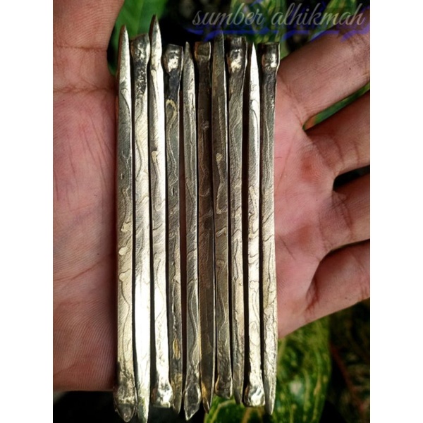 Jual paku rajahan bumi paku bumi rajahan dari mulai 5cm7cm10cm12cm ...