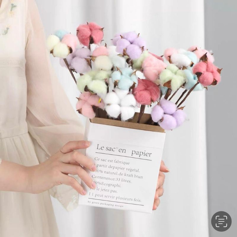 Jual BUNGA KAPAS PER TANGKAI / KUNTUM COTTON FLOWERS / BUNGA KAPAS ...