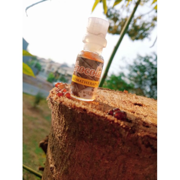 Jual Minyak Aromaterapi Bakar Burner Oil Diffuser banyak varian ...