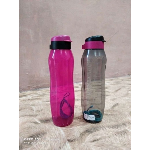 Jual Botol minum Tupperware | Shopee Indonesia