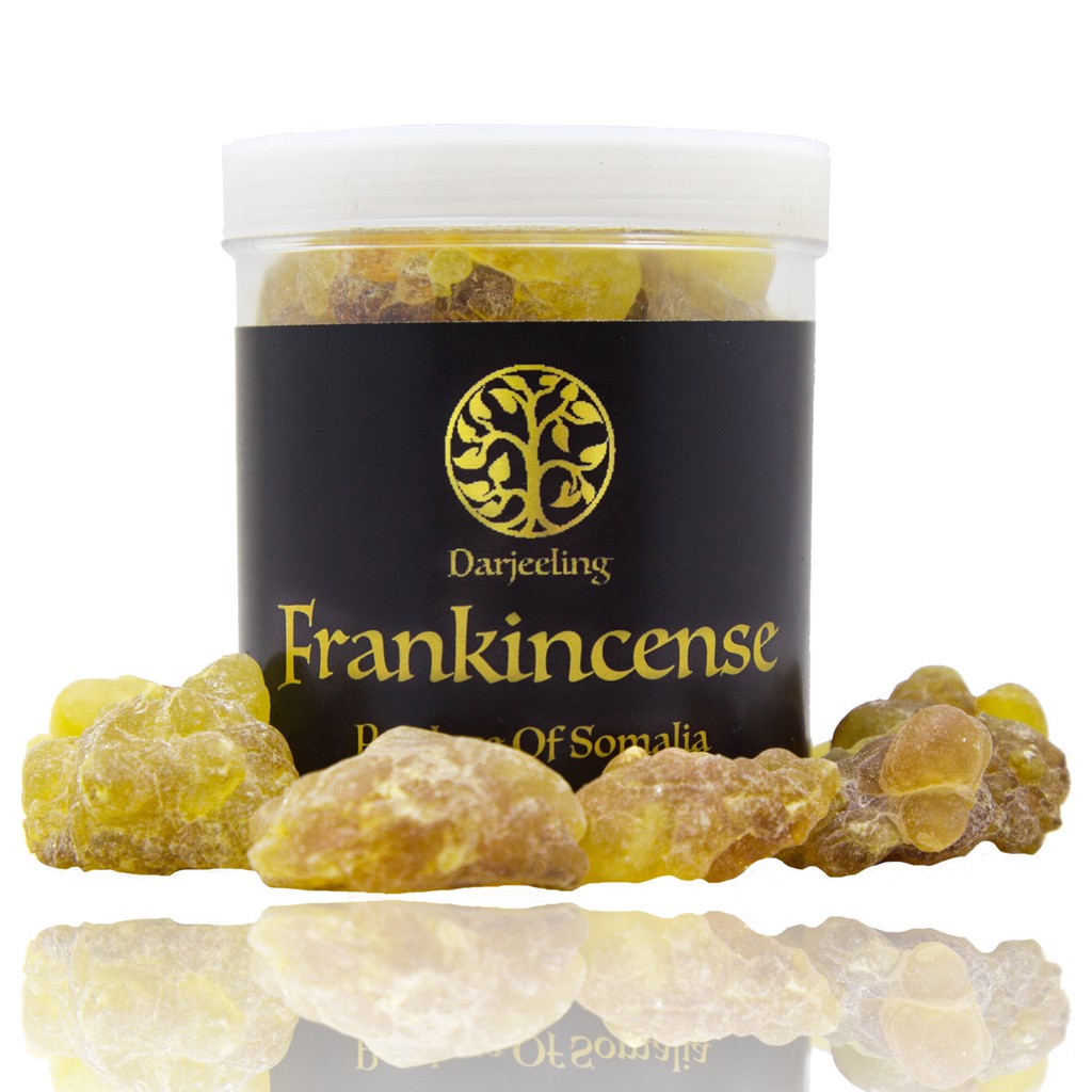 Jual Darjeeling Frankincense Boswellia Carterii Besar / Kemenyan Arab ...