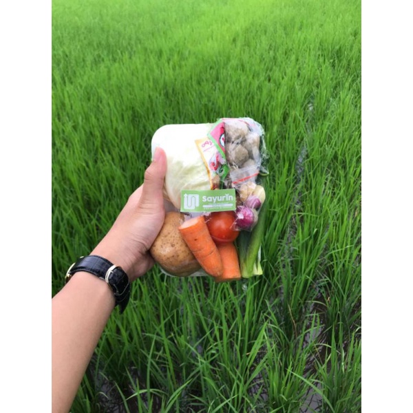 Jual SayurIn Paket Sayur Sop Bening | Shopee Indonesia