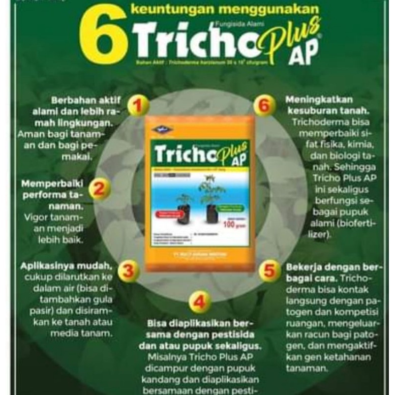 Jual Tricho plus ap 100gr | Shopee Indonesia
