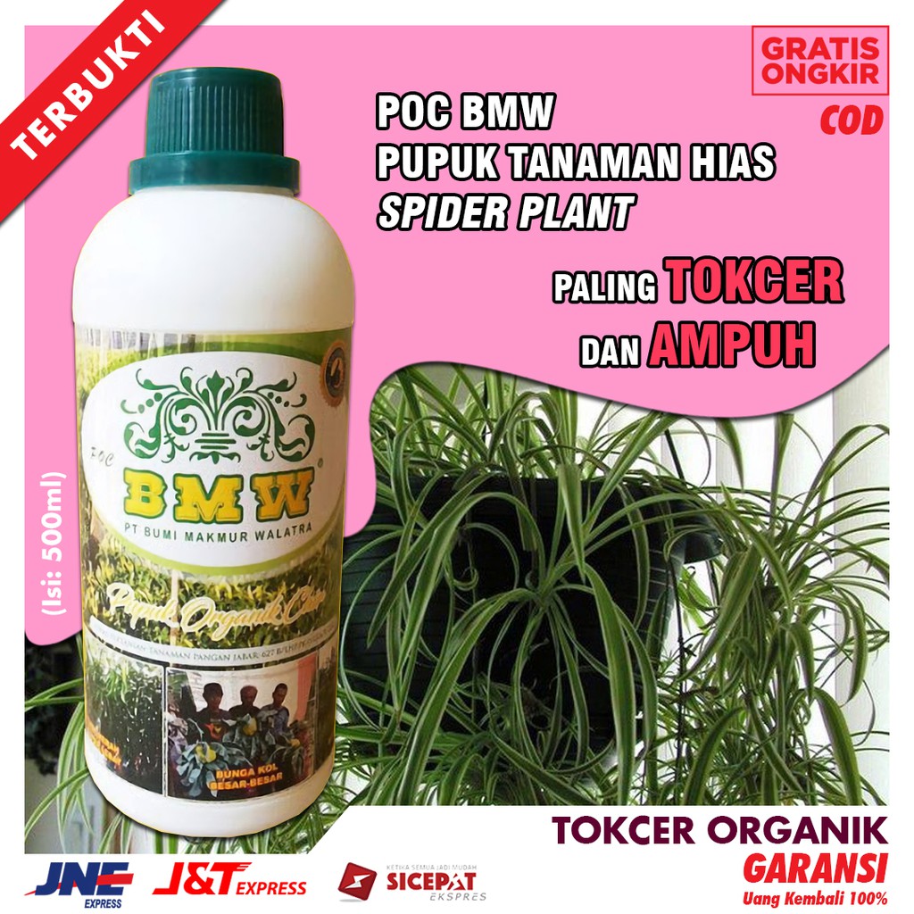 Jual Pupuk Organik Cair Tanaman Perangsang Bunga Spider Plant POC BMW ...