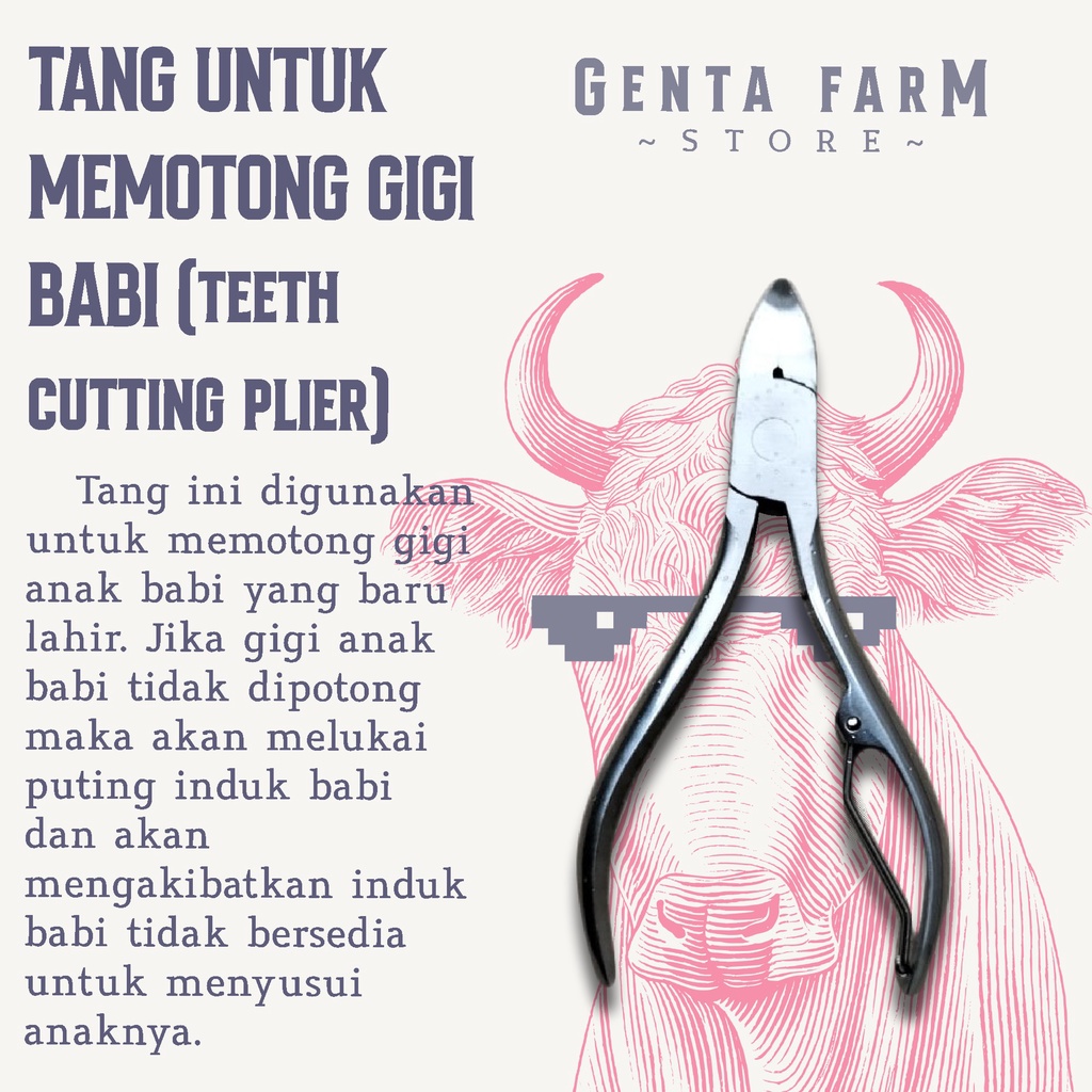 Jual Tang Potong Gigi Babi Kambing Cutting Teeth Plier | Shopee Indonesia