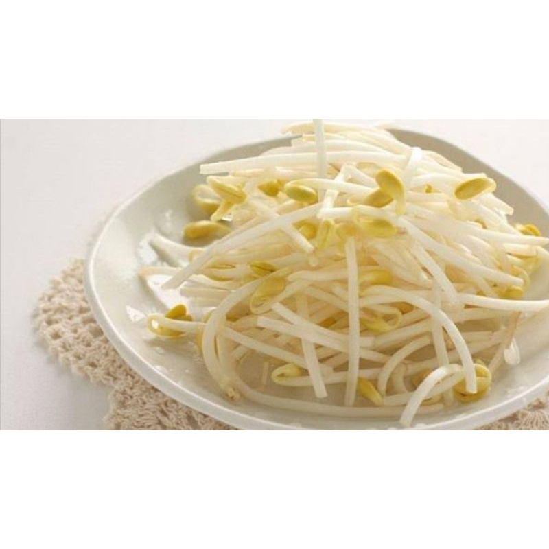 Jual Toge segar surga kebutuhan ku fresh sprouts toge vegetables ...