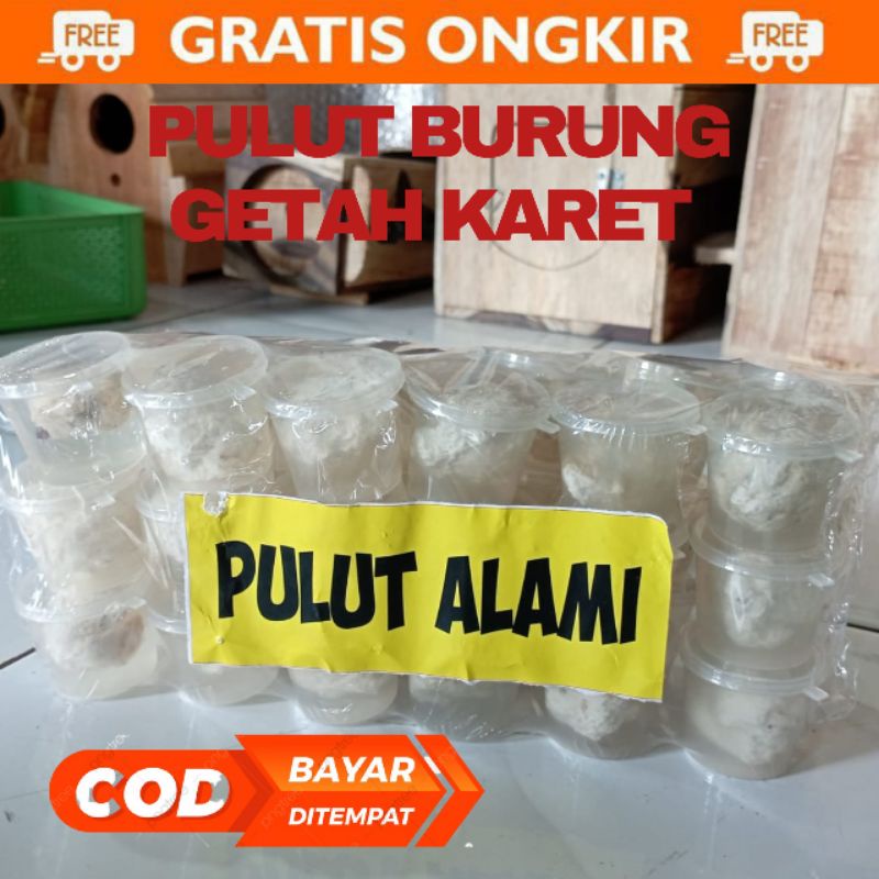 Jual PULUT BURUNG JEBAKAN PIKAT GETAH KARET | Shopee Indonesia