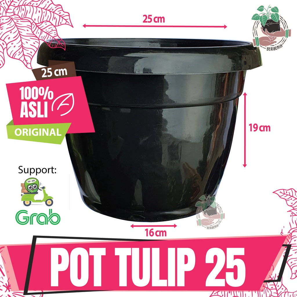 Jual POT Tulip Pot Bunga Tanaman Hias Pot Kuping Plastik Hitam Polos ...