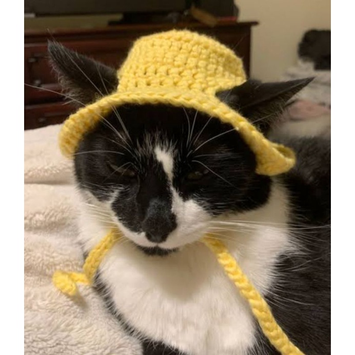 Jual Topi Kucing Rajut/ Hat cat Crochet (Adult size) | Shopee Indonesia