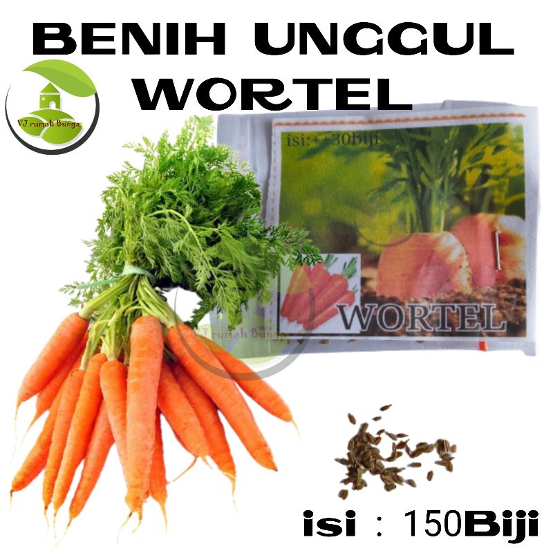 Jual 150Biji - Benih Sayuran Wortel Benih Bibit Sayur Wortel | Shopee ...