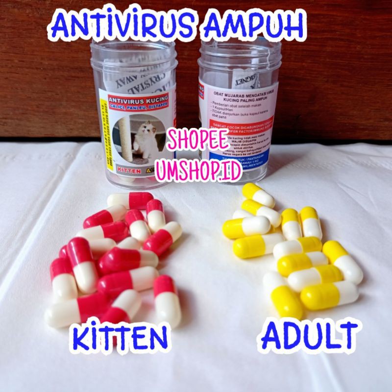 Jual Obat Virus Kucing Calici Panleukopenia Distemper Paling Ampuh ...
