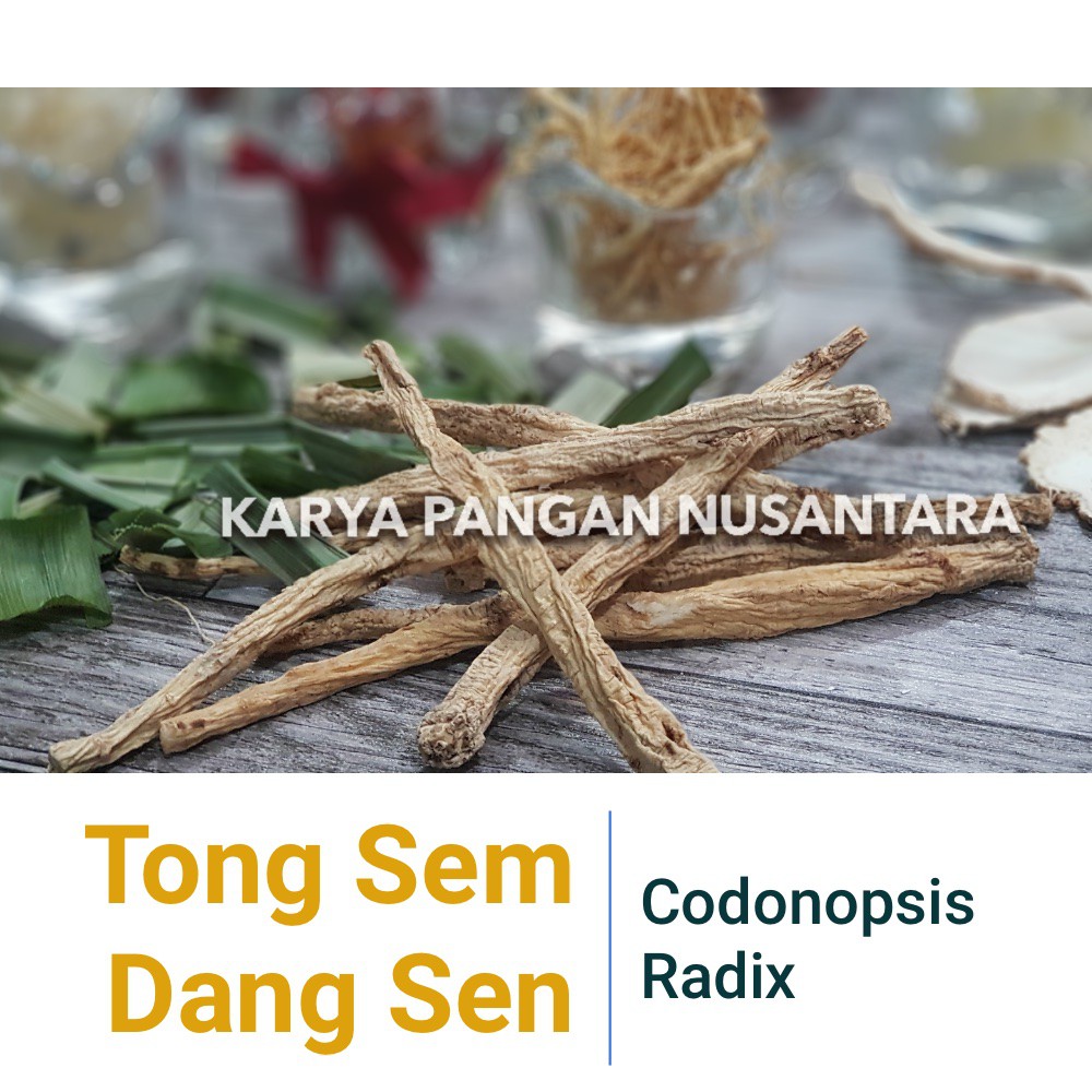 Jual Tong Sem - Dang Sen - Codonopsis Radix - Tong Sim - Dang Shen ...