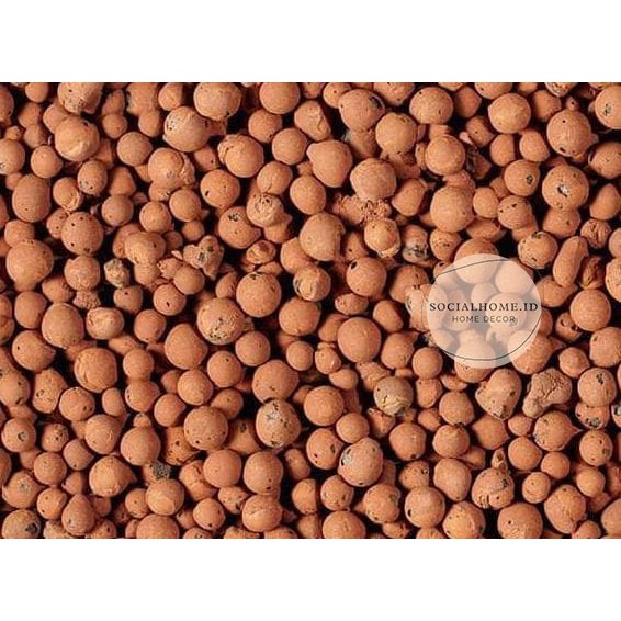 Jual Hidroton Jerman Media Tanam Hidroponik - Hydroton Germany - 1L ...