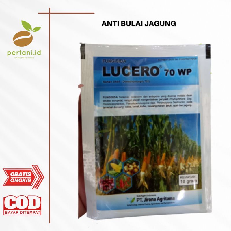 Jual Fungisida LUCERO 70WP ukuran 10gram- pengendali penyakit bulai di ...