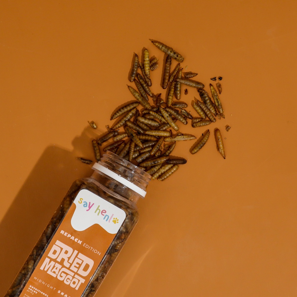 Jual Maggot Kering, Dried Maggot - Snack Sugar Glider, Hamster, Ikan ...