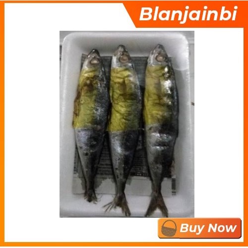 Jual Pindang Ikan Deles Bandung Area | Shopee Indonesia