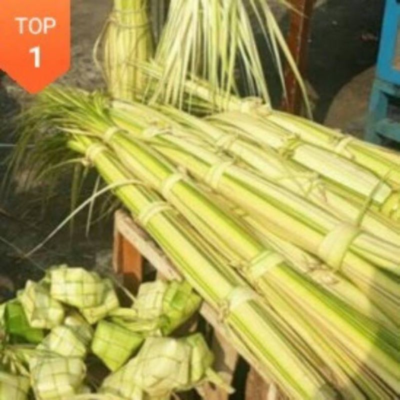 Jual janur kuning daun kelapa muda 15 lembar | Shopee Indonesia