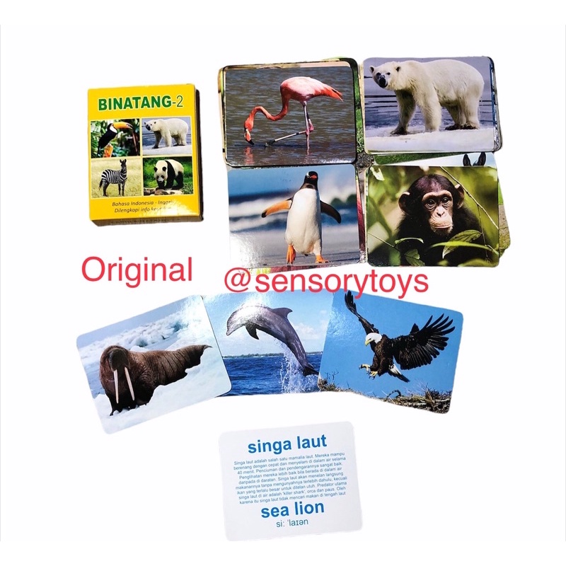 Jual Flash card animal seri 2 kartu binatang | Shopee Indonesia
