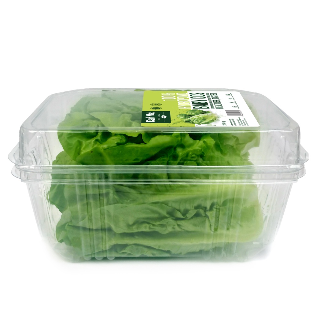 Jual Eat Me Brand - Sayur Baby Cos Lettuce Hidroponik (250gr) | Shopee ...
