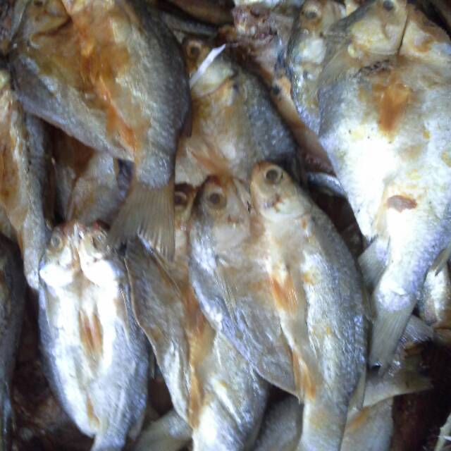 Jual Ikan asin belanak khas bangka belitung 1 kg | Shopee Indonesia