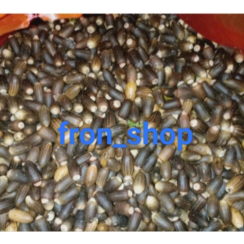 Jual BIJI BUAH MELINJO | BIJI MELINJO KUPAS (1Kg) | Shopee Indonesia