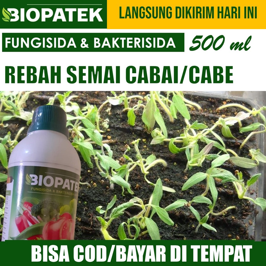 Jual 500 ML Biopatek - Bakterisida Fungisida Rebah Semai Cabe / Cabai ...