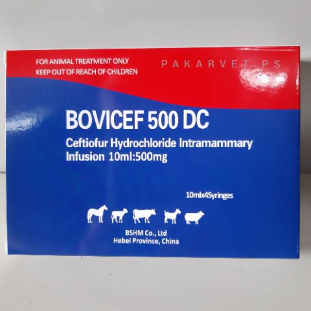 Jual Bovicef 500 DC untuk pengobatan mastitis subklinis saat kering ...